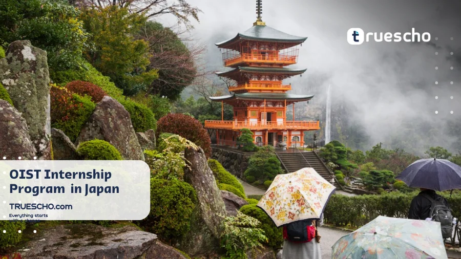 OIST Internship Program 2025 In Japan | Full Paid Internship • Scholars