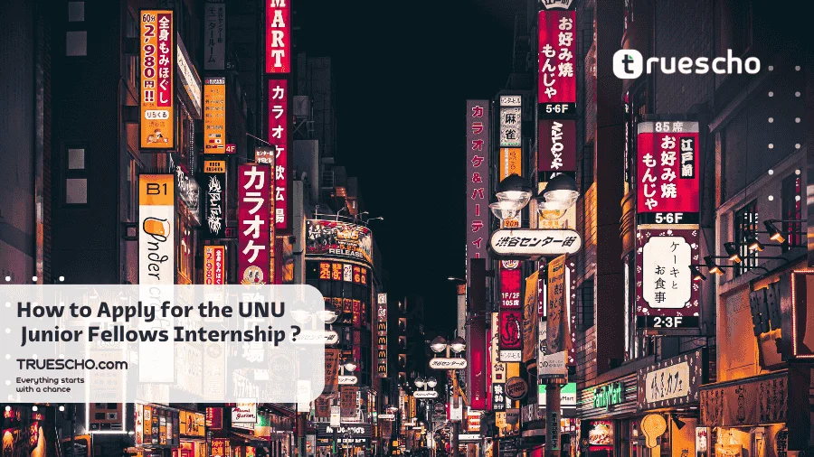 UNU Junior Fellows Internship In Japan 2025 ( Fully Funded ) • Scholars