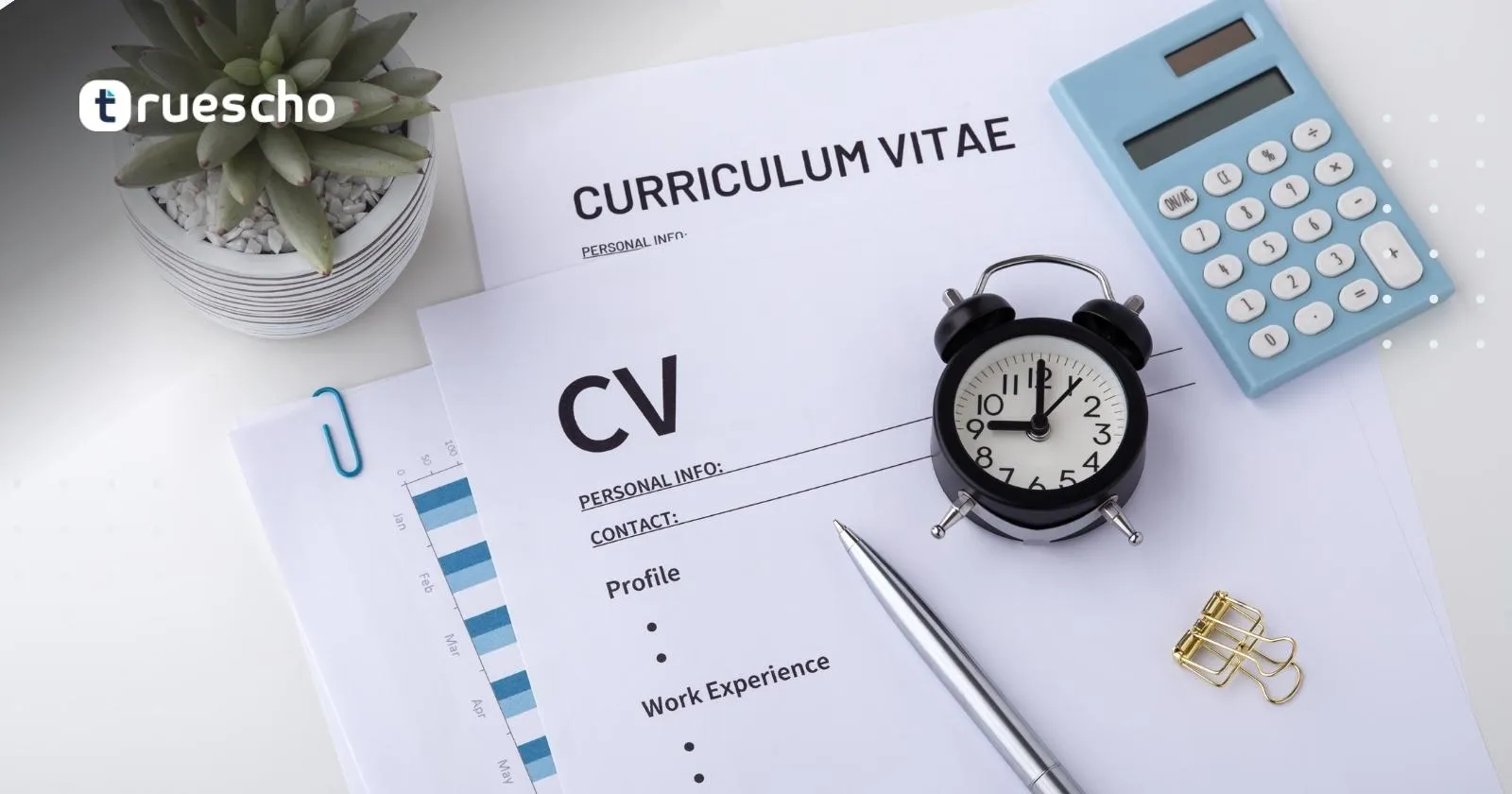 What Is Level In Eqf In Europass CV | Definition & Tips • Scholars