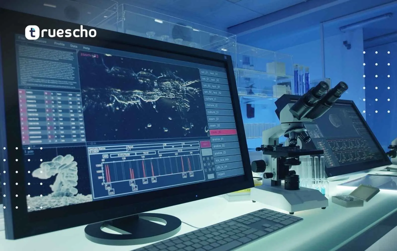 Study Computer Science In Germany: Programs 2025 • Scholars